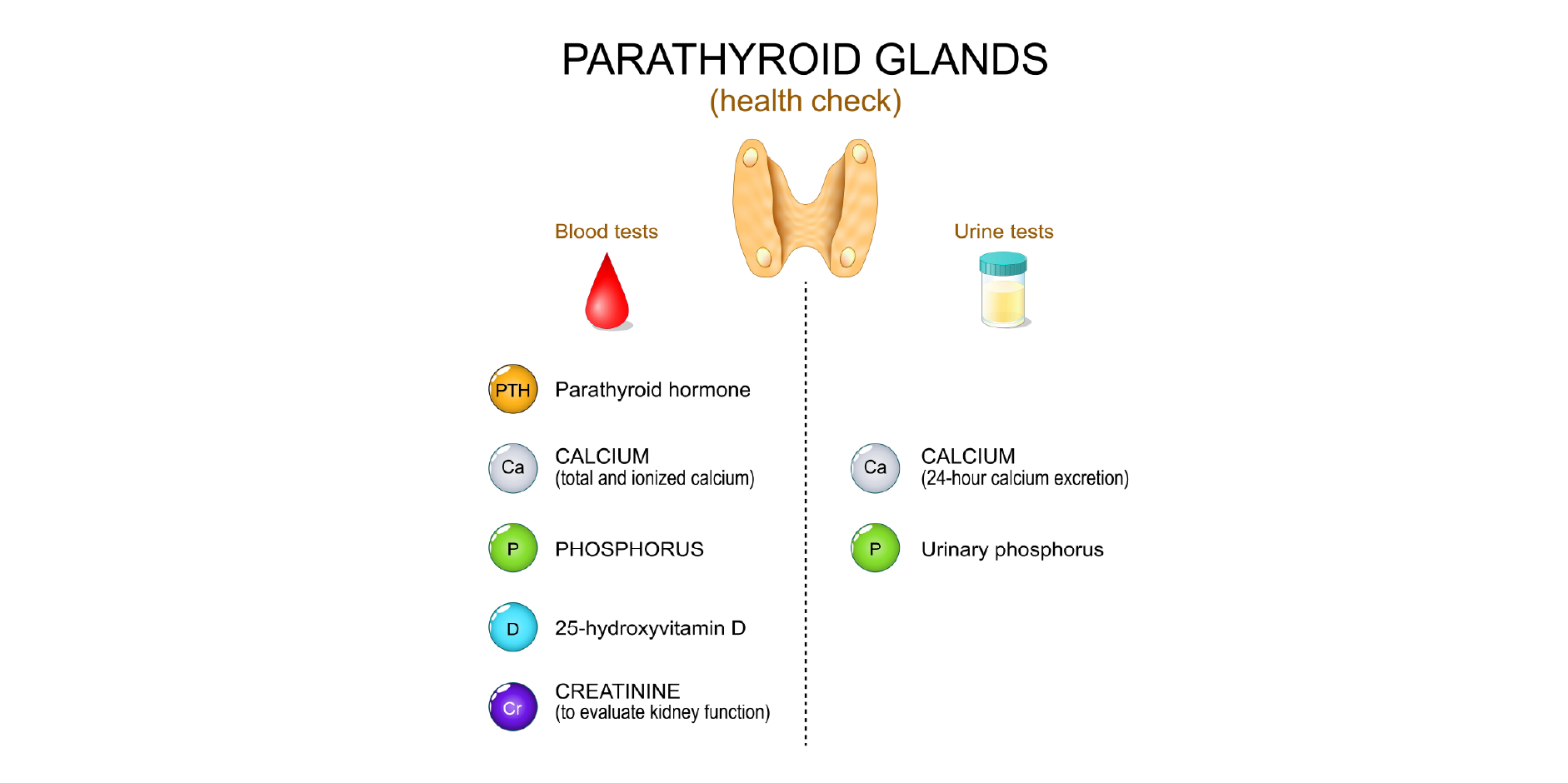 Hyperparathyroidism : Diagnostics | MIMS Philippines