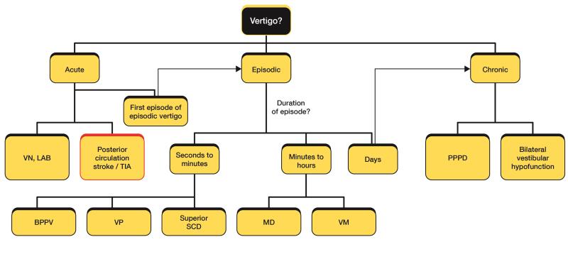 Managing vertigo in primary care | Multidisciplinary | CIMS India